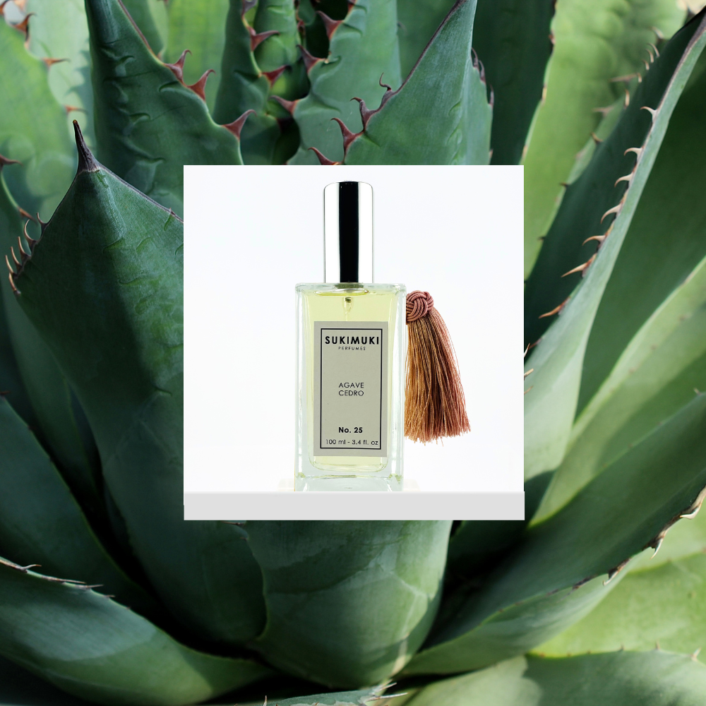 Perfume No. 25 | Agave | Cedar | Woody – SUKIMUKI